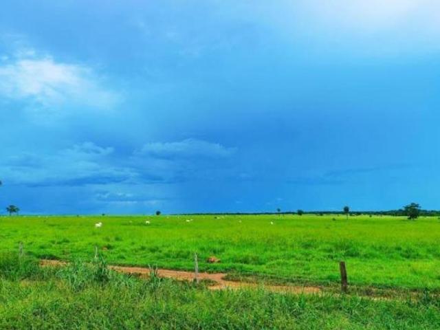 MATO GROSSO São Félix do Araguaia Fazenda a venda 83.346 Hectares Riquíssima em água R$ 1