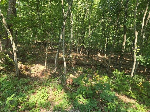 Matson Ln Lot 2, Bella Vista, AR 72715