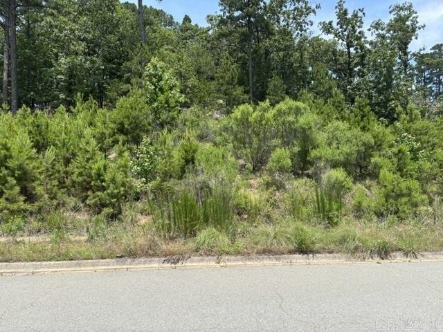 Maumelle Valley Dr Lot 104, Maumelle, AR 72113