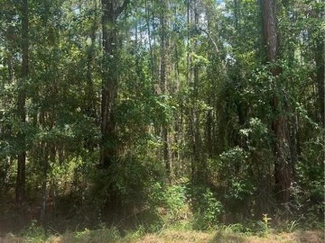 Maura Dr, Bayou La Batre, AL 36509
