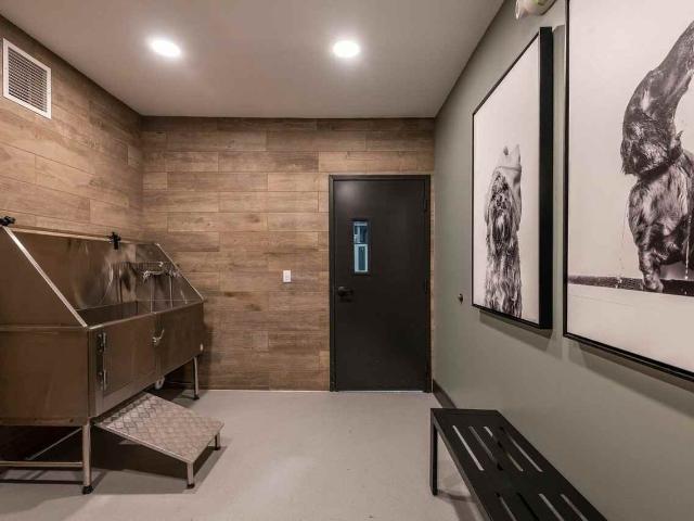 Maven on Broadway 1 Bedroom Apartment for Rent at 230 Broadway, Sacramento, CA 95818 Upper Land Park