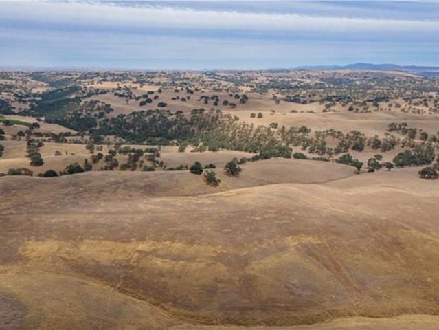 Maverick Way, Paso Robles, CA 93446