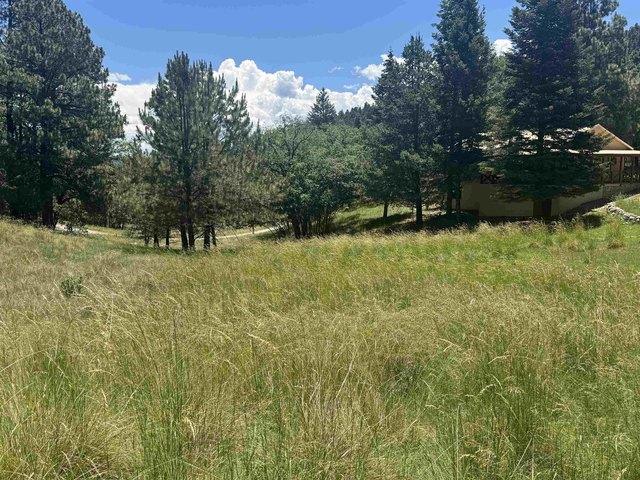Maverick, Cloudcroft, NM 88317
