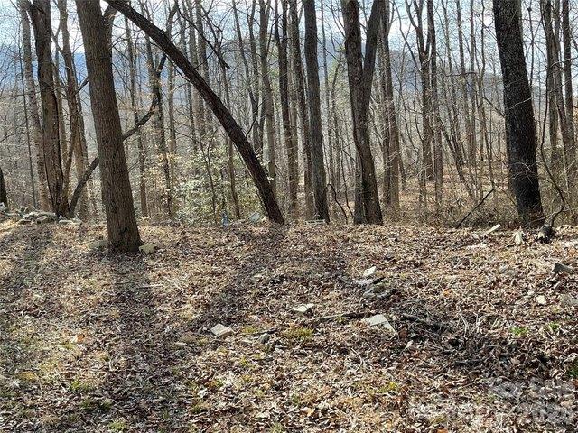 Max Metcalf Rd, Swannanoa, NC 28778