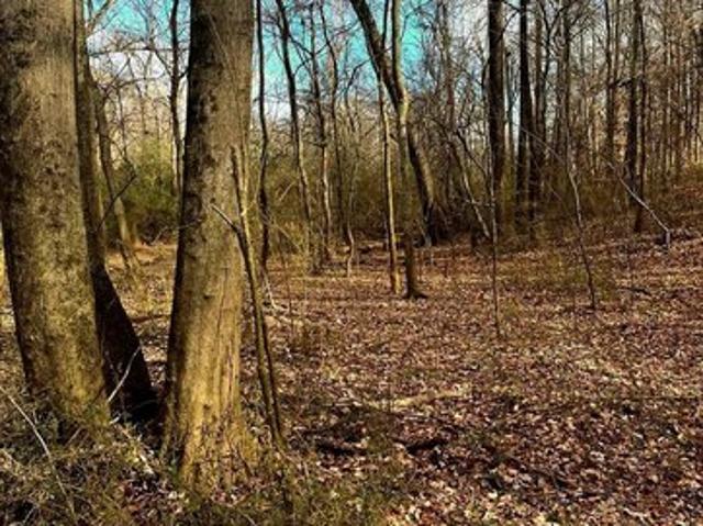 Maxham Rd, Austell, GA 30168