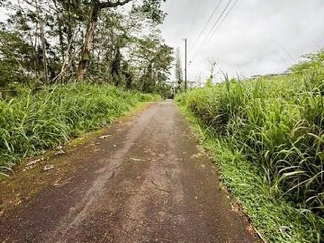 Mayzee Rd, Pahoa, HI 96778