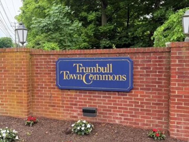 Mayfield Dr Unit,trumbull, Condo For Sale