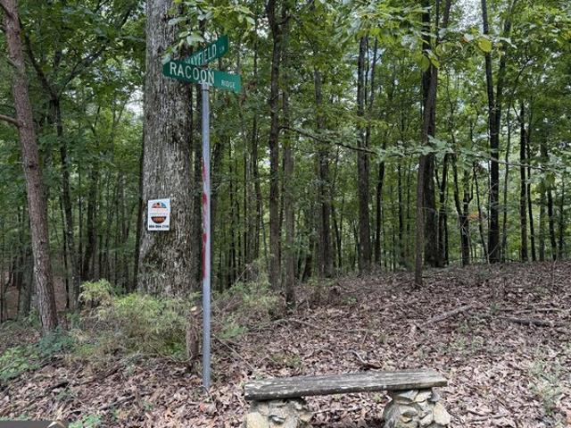 Mayfield Ln Lot 1065, Ranger, GA 30734
