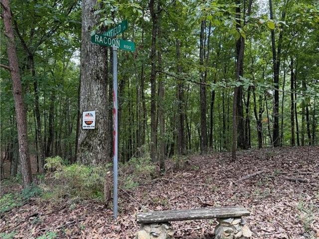 Mayfield Ln Lot 10, Ranger, GA 30734