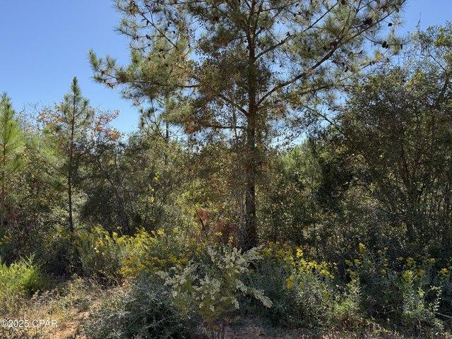 Mayflower Dr, Marianna, FL 32448