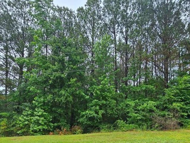Maynor Ln Lot 32, Oneonta, AL 35121