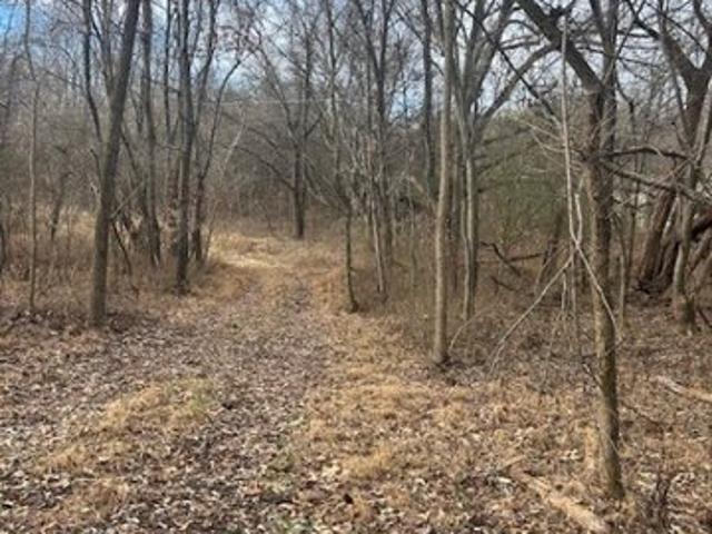 Mayo Rd, Adams, TN 37010