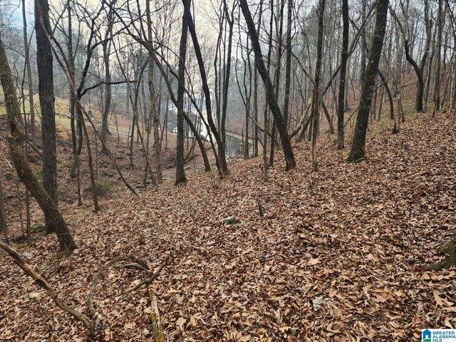 Mays Bend Dr Lot 177, Pell City, AL 35128