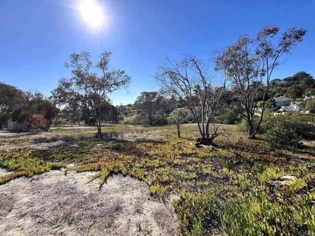 Mays Hollow Ln, Encinitas, CA 92024