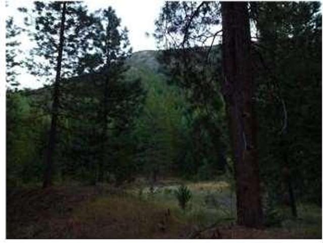 Mazama, WA Okanogan Country Land 0.2600 acre for sale in Mazama, Washington
