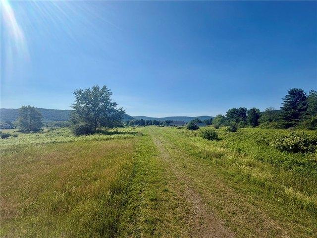 Memory Ln, Otego, NY 13825