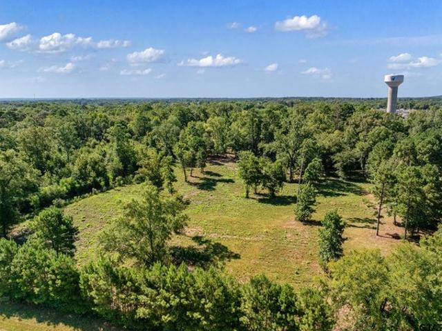 Memory Ln, Whitehouse, TX 75791