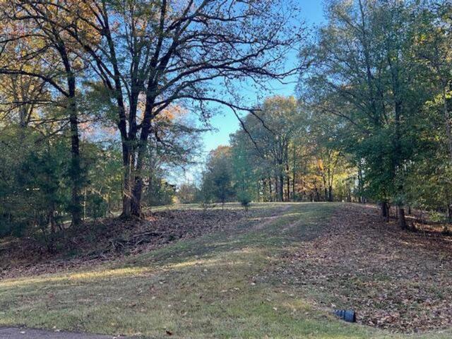 Memphis TN 38133 LS101012235