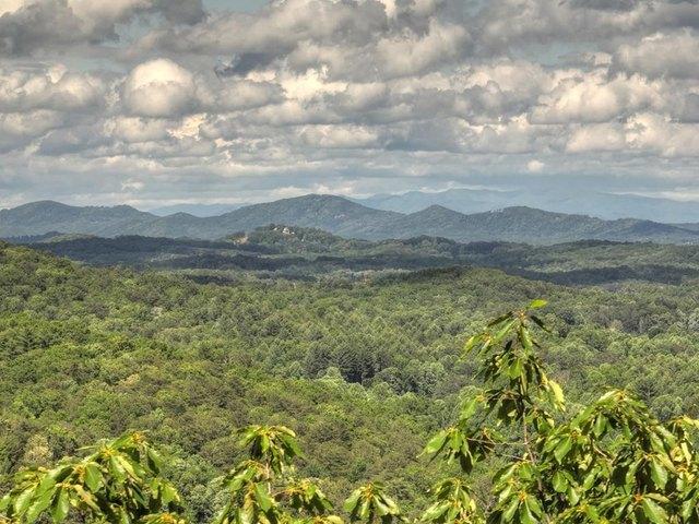Menagerie /O 9 Rdg Lot P, Epworth, GA 30541