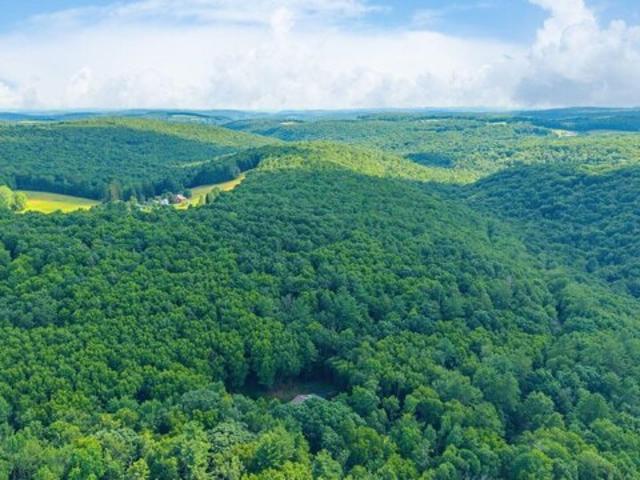 Mendenhall Hill Rd, Benton, Plot For Sale