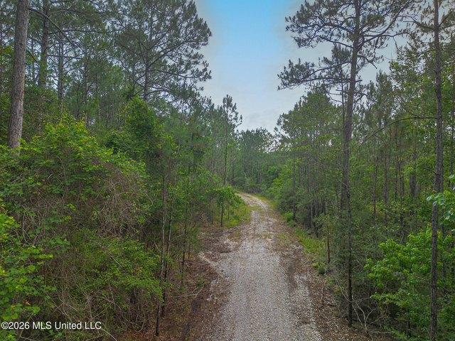Menge Ave Parcel 2, Pass Christian, MS 39571