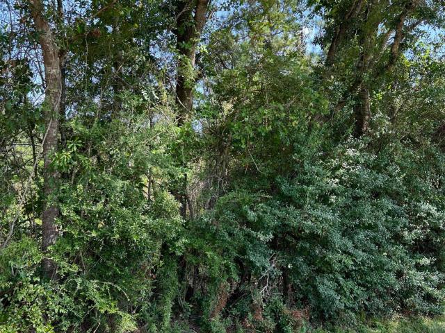 Mennonite Road, Gulfport, MS 39503