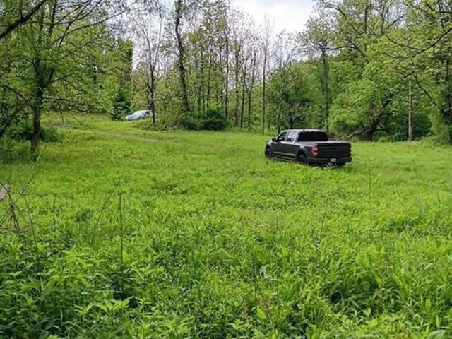 Meathouse Fork Rd, New Milton, WV 26411