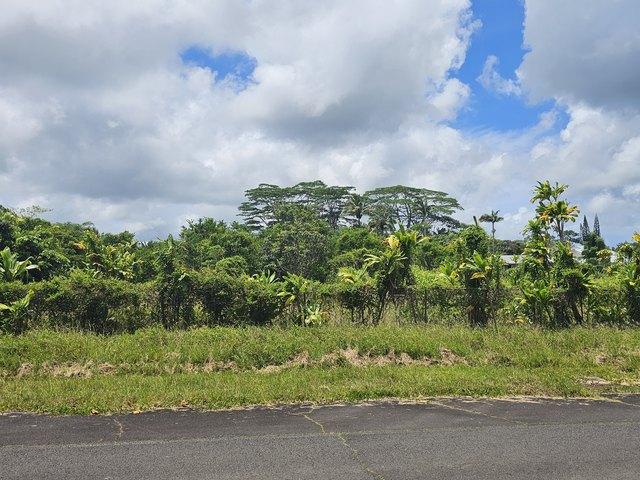 Meaulu St, Keaau, HI 96749