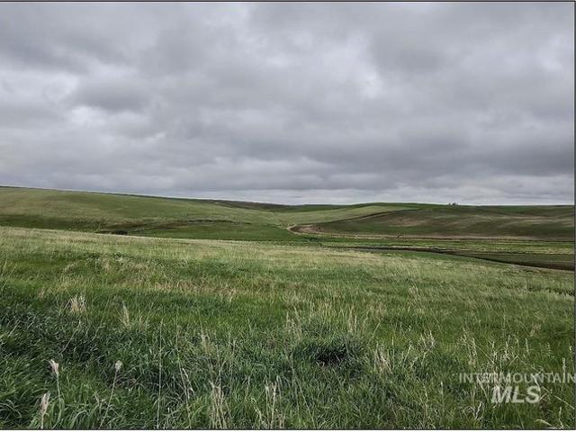 Meade Rd, Nezperce, ID 83543