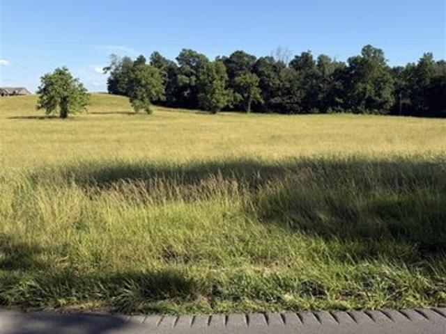 Meador Port Oliver Rd Lots 7 & 8, Scottsville, KY 42164
