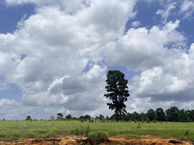Meadowview Lot 246, Hillister, TX 75979