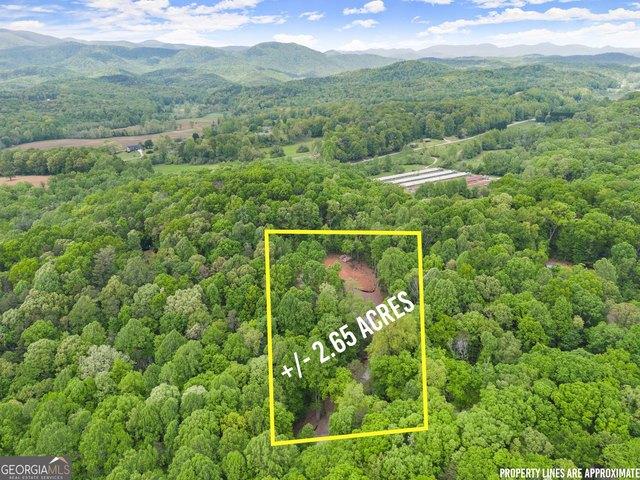 Meadowview Rdg Lot 6, Clarkesville, GA 30523