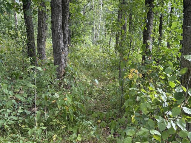 Meadowview Road