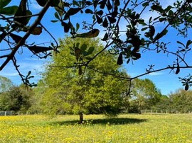 Meadow Creek Rd, Hockley, TX 77447