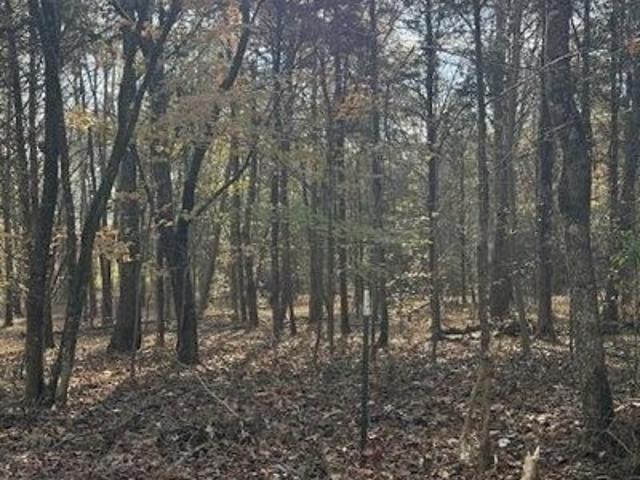 Meadow Ct Lot 1031, Baneberry, TN 37890