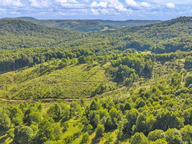 Meadow Bridge, WV 25976