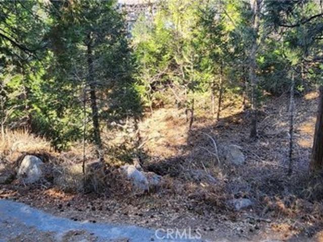 Meadow Dr, Lake Arrowhead, CA 92352
