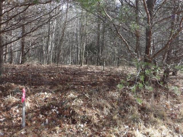 Meadow Ln, Spencer, TN 38585