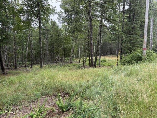 Meadow Pond Rd, Islesboro, Plot For Sale
