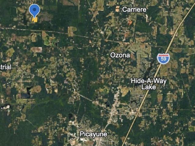 Meadowood Drive, Picayune, MS 39466