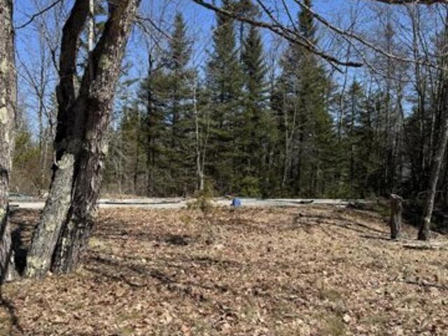 Mechanic Falls Rd, Poland, Plot For Sale