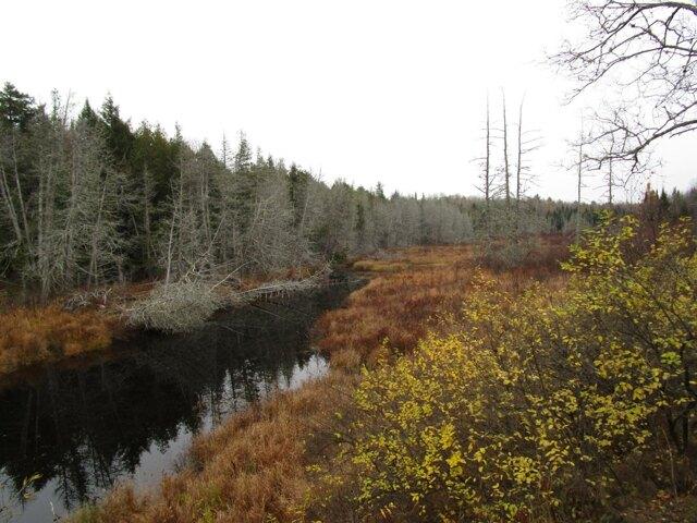 Medford Ctr Lot,medford, Plot For Sale