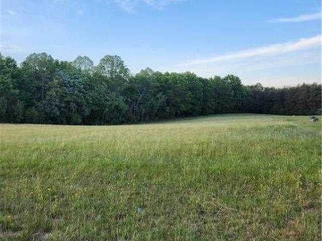 Medical Center Rd, Danville, VA 24054
