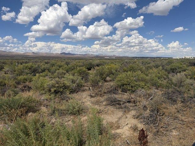 Medicine Bow St, Elko, NV 89801