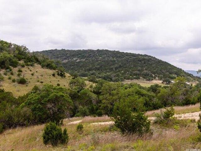 Medina TX 78055 94162731