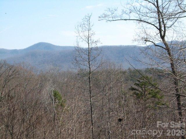 Meditation Rdg Units 21 & 22, Nebo, NC 28761