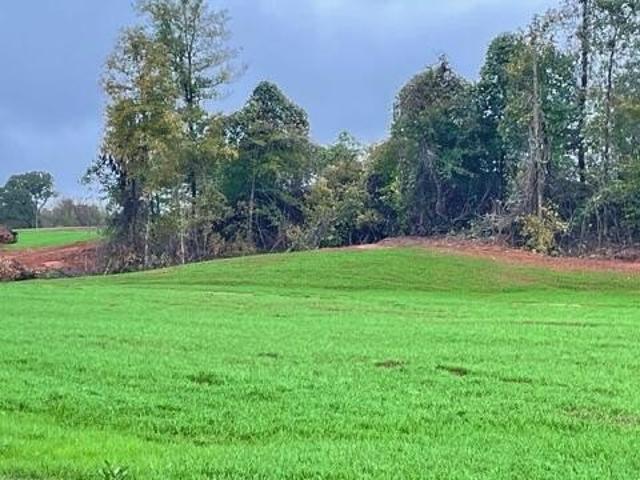 Medon Malesus Rd, Medon, TN 38356