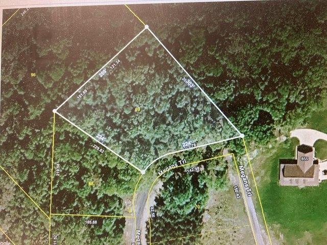 Megans Trl, Bean Station, TN 37708