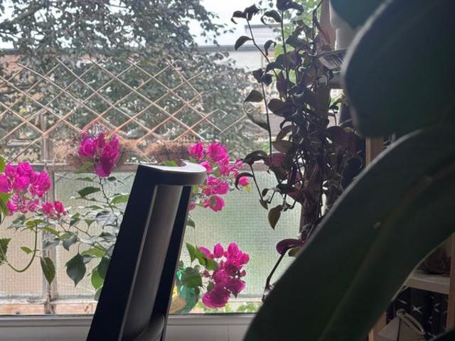 Meisam Shahryari Has an Apartment