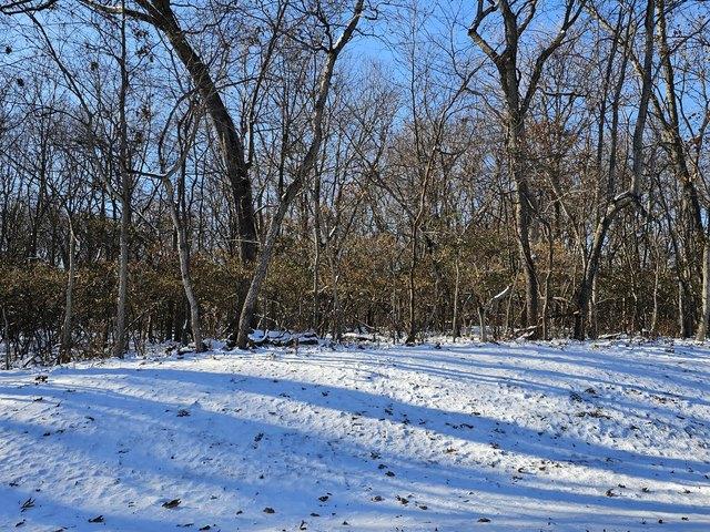 Meisenheimer Ave, Hillsboro, IL 62049